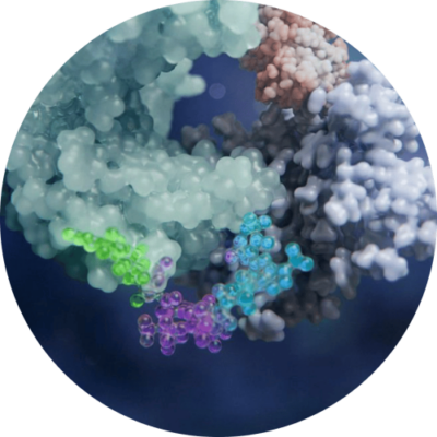 PROTAC DISCOVERY ENGINE